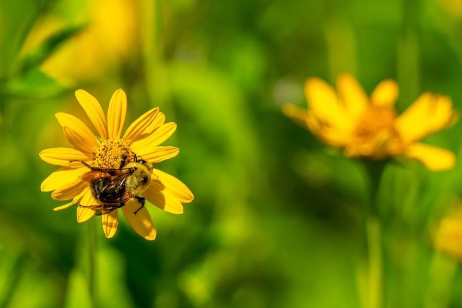 Identify Insect Eggs: Ultimate Guide | USA Species